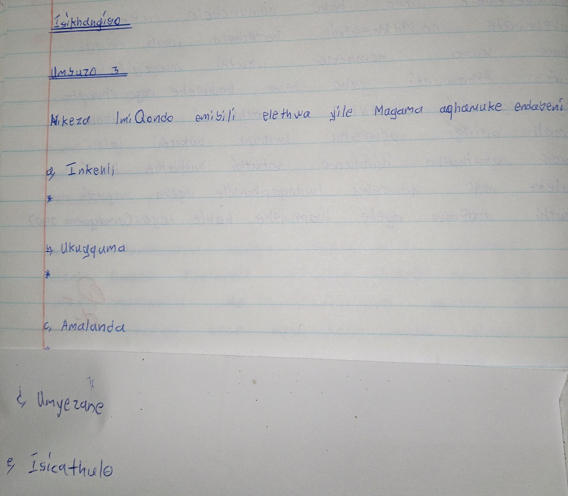 Isikhandiso Umbuzo 3 Nikeza Imi Qondo | StudyX