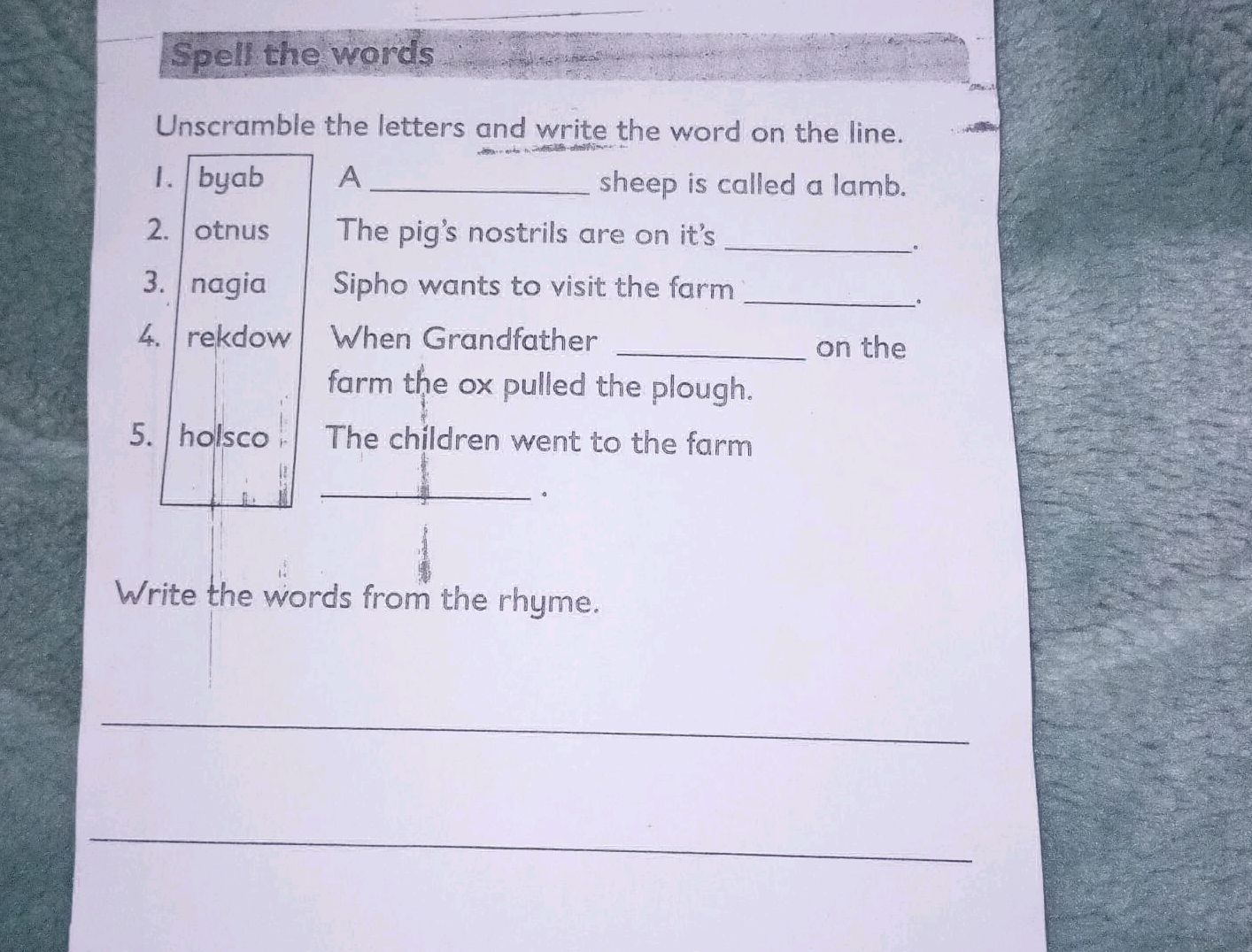 Unscramble the letters and write the word on | StudyX