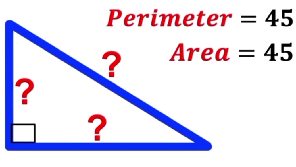 Perimeter = 45 Area = 45 {The image shows a | StudyX