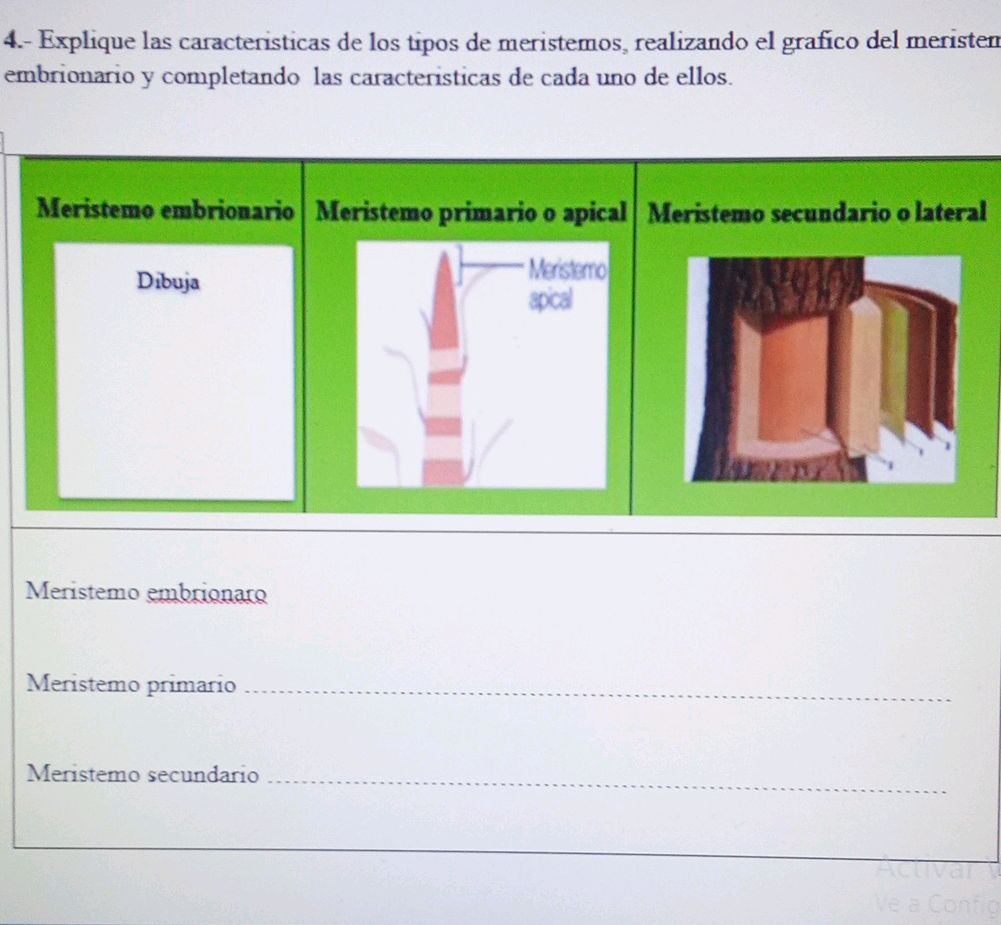 4.- Explique las caracteristicas de los | StudyX