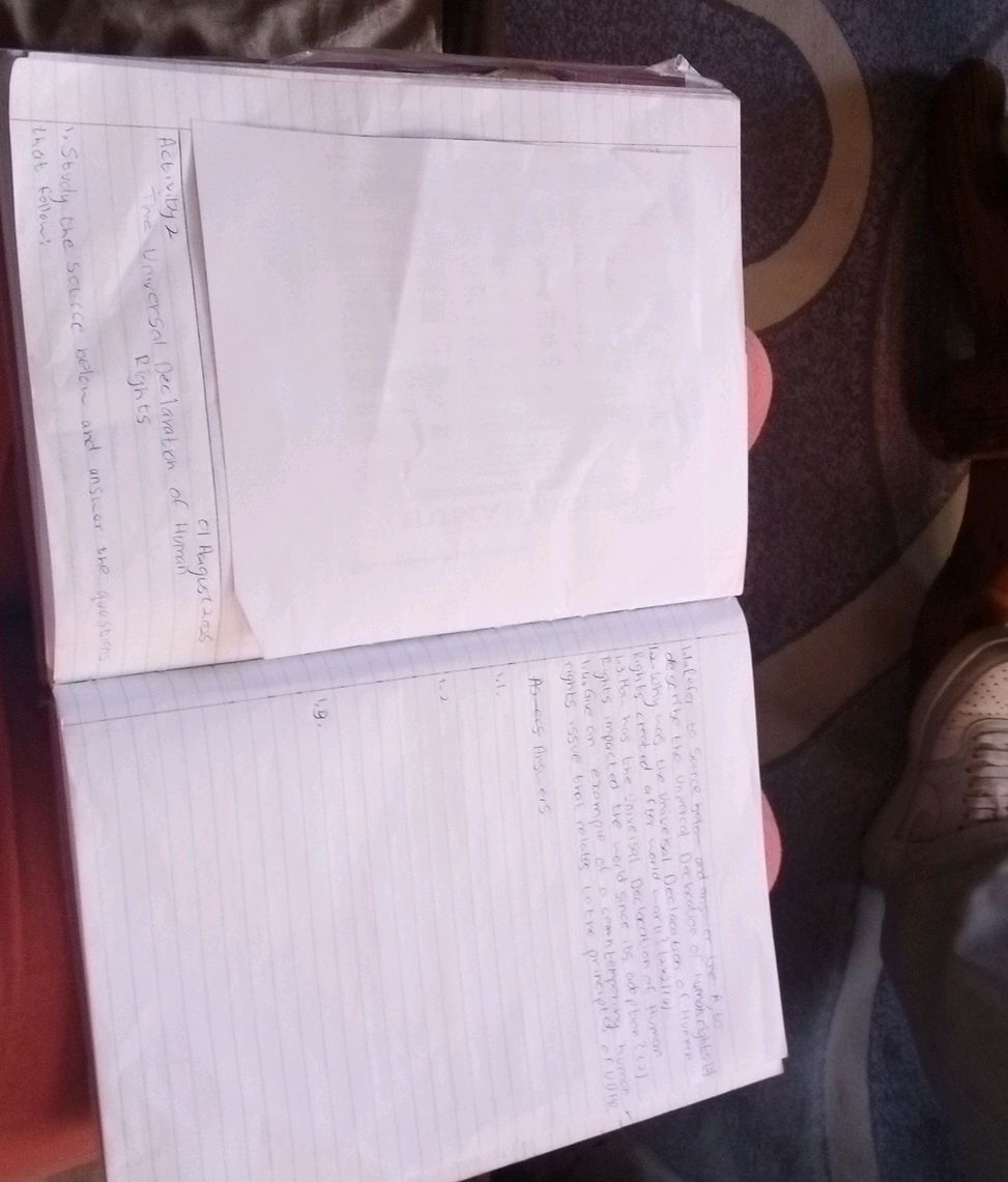 Activity 2 The Universal Declaration of | StudyX