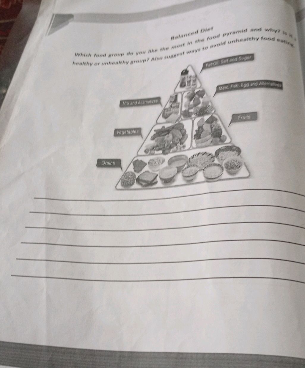 Which food group do you like the most in the