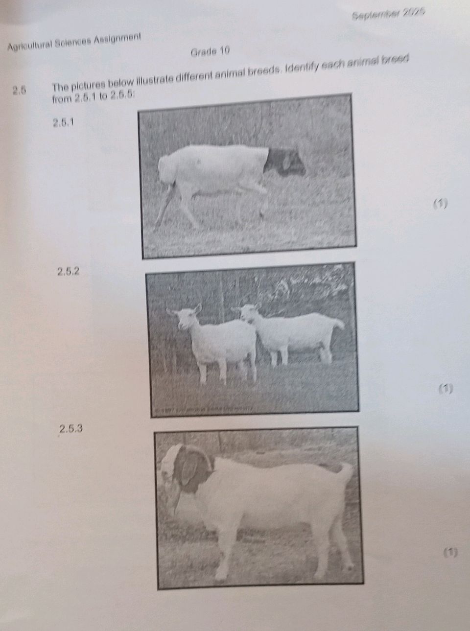 Agricultural Sciences Assignment Grade 10 | StudyX