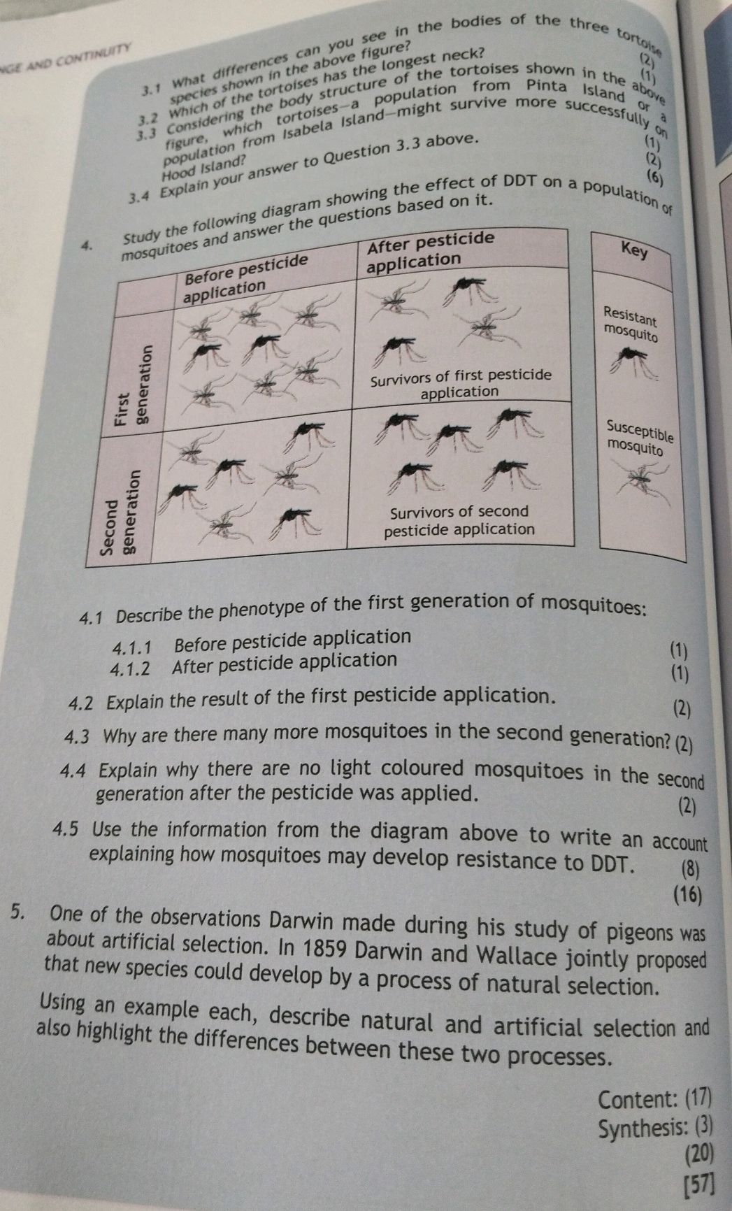 3.1 What differences can you see in the | StudyX
