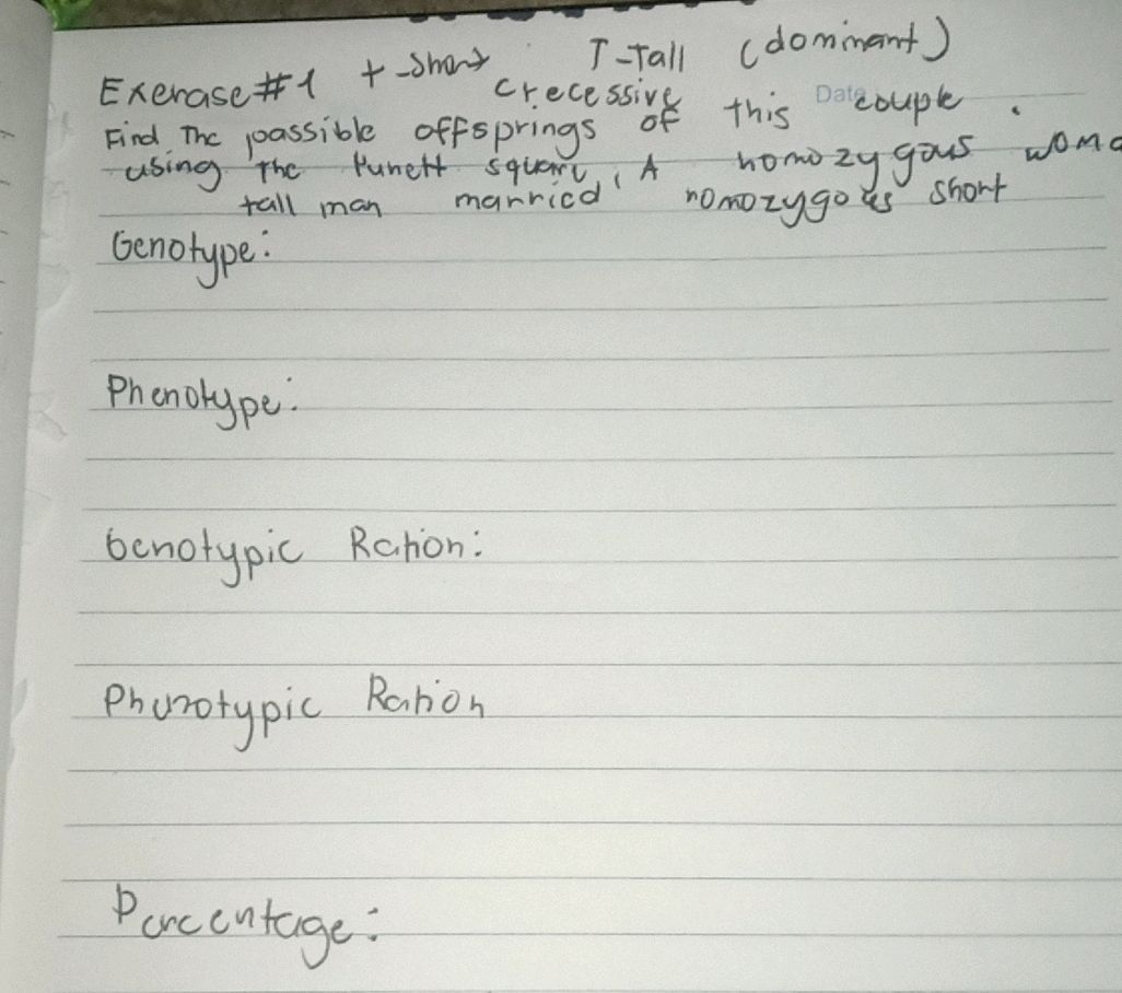Exercise #1 + - short T - Tall (dominant) | StudyX
