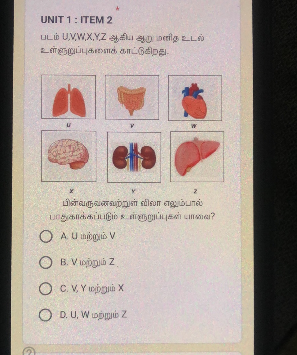 படம் U,V,W,X,Y,Z ஆகிய ஆறு மனித உடல் | StudyX