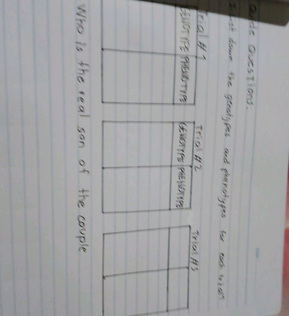 Guide Questions: List down the genotypes and | StudyX