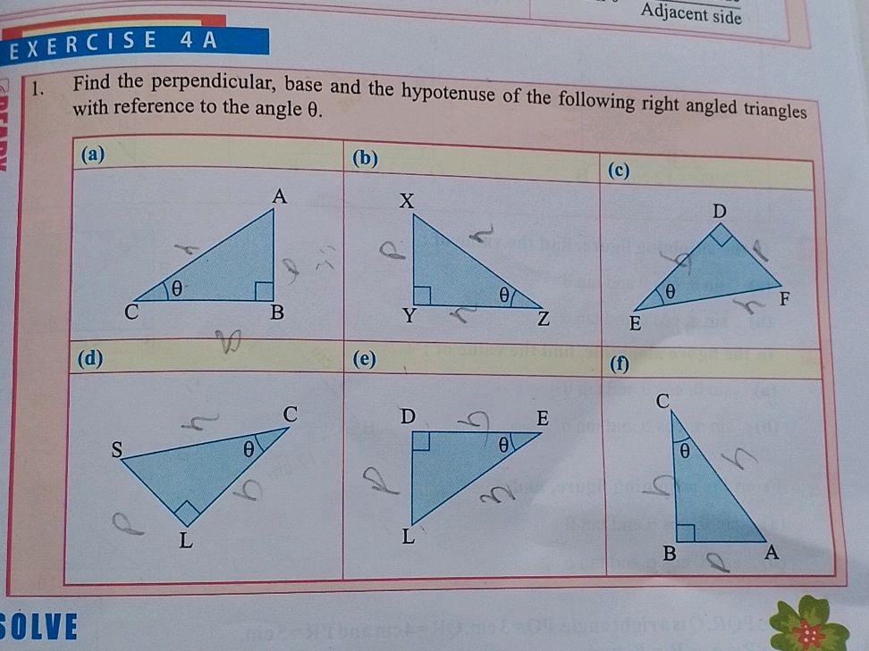 Find the perpendicular, base and the | StudyX