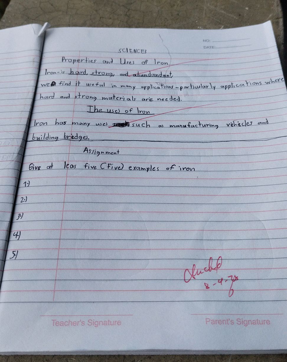 Give at leas five (Five) examples of iron | StudyX