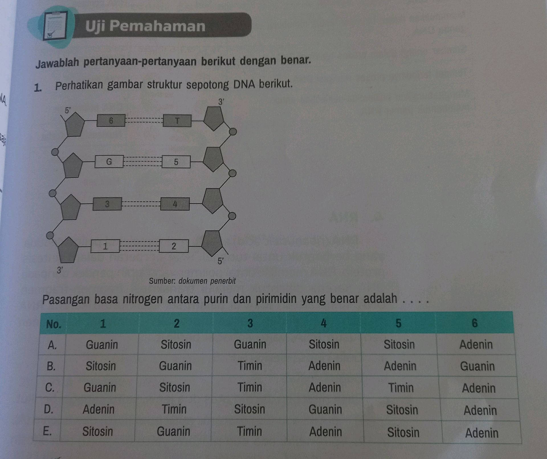 1. Perhatikan gambar struktur sepotong DNA | StudyX