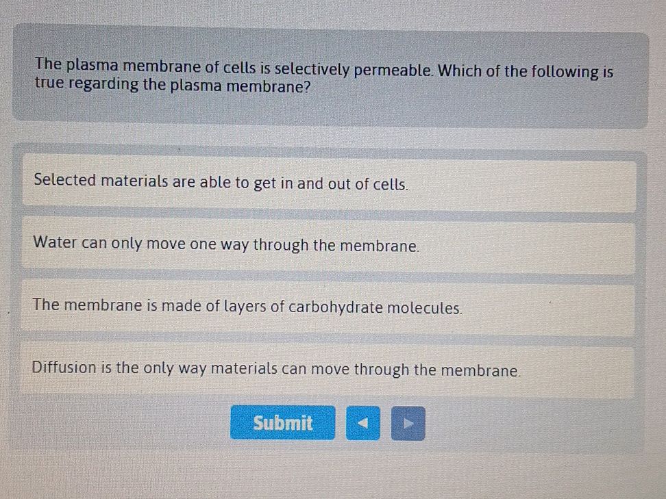 The plasma membrane of cells is selectively | StudyX