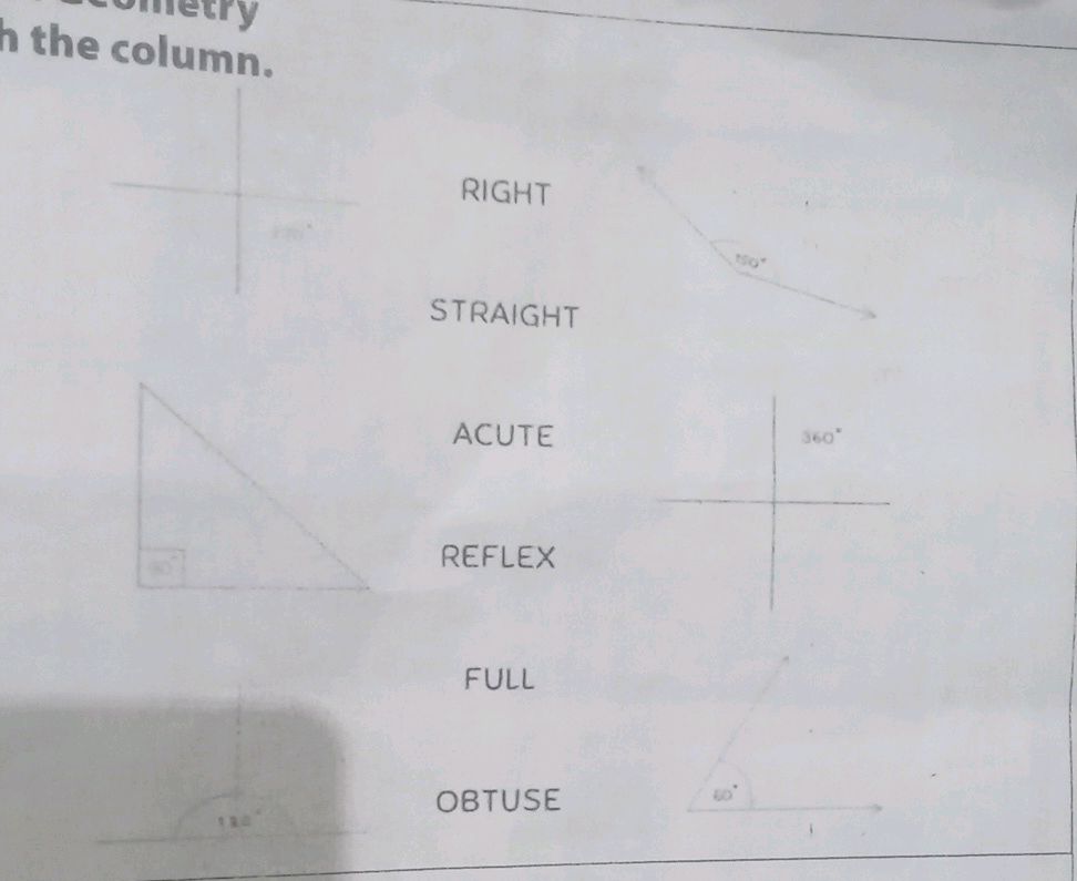 Match the angle type with the column. RIGHT