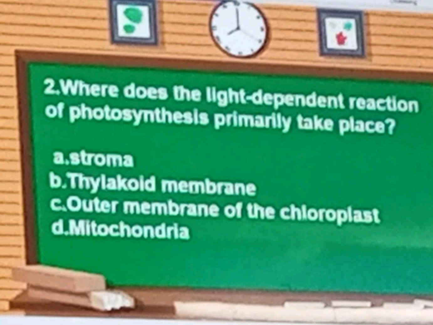 2. Where does the light-dependent reaction | StudyX