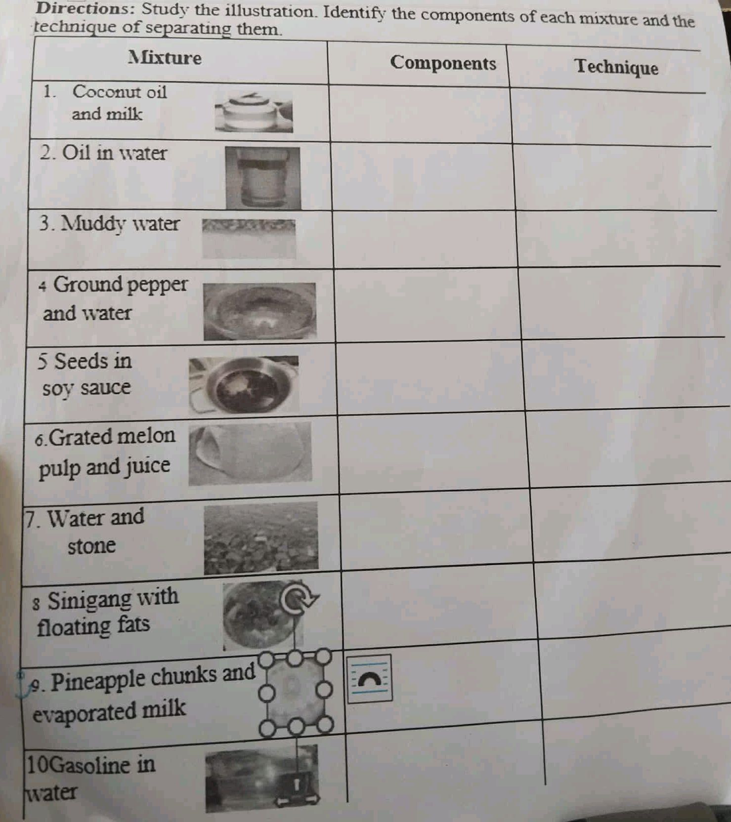 Directions: Study the illustration. Identify | StudyX