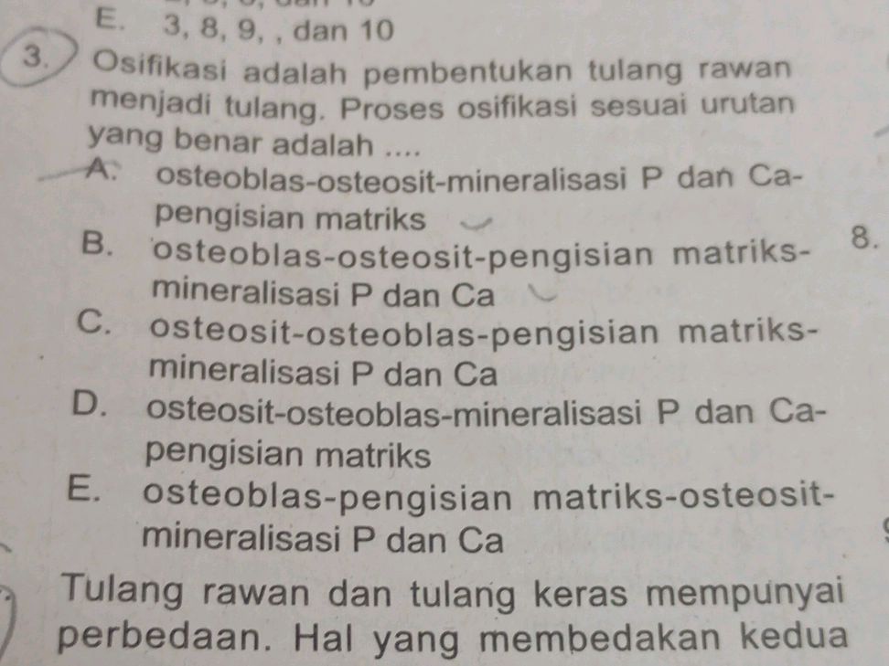 3. Osifikasi adalah pembentukan tulang rawan | StudyX