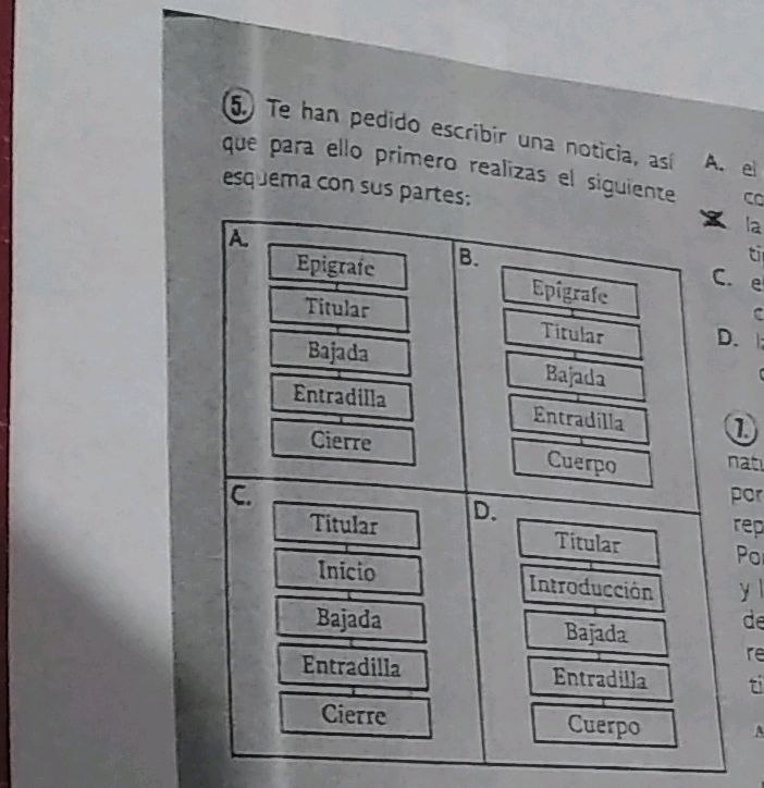 5. Te han pedido escribir una noticia, así | StudyX