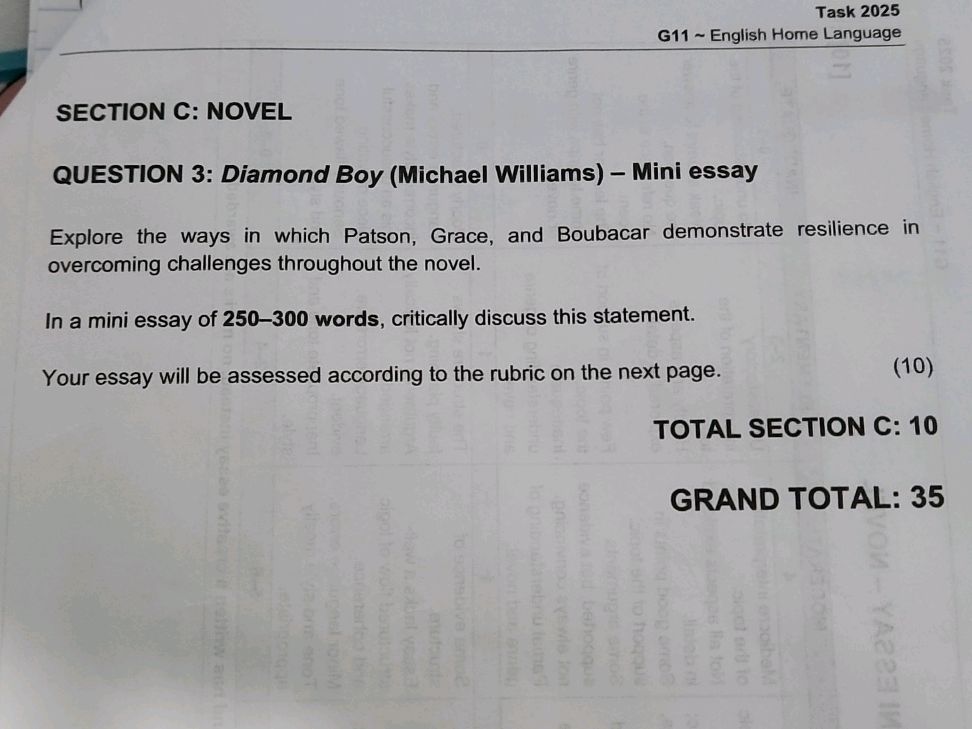 QUESTION 3: Diamond Boy (Michael Williams)