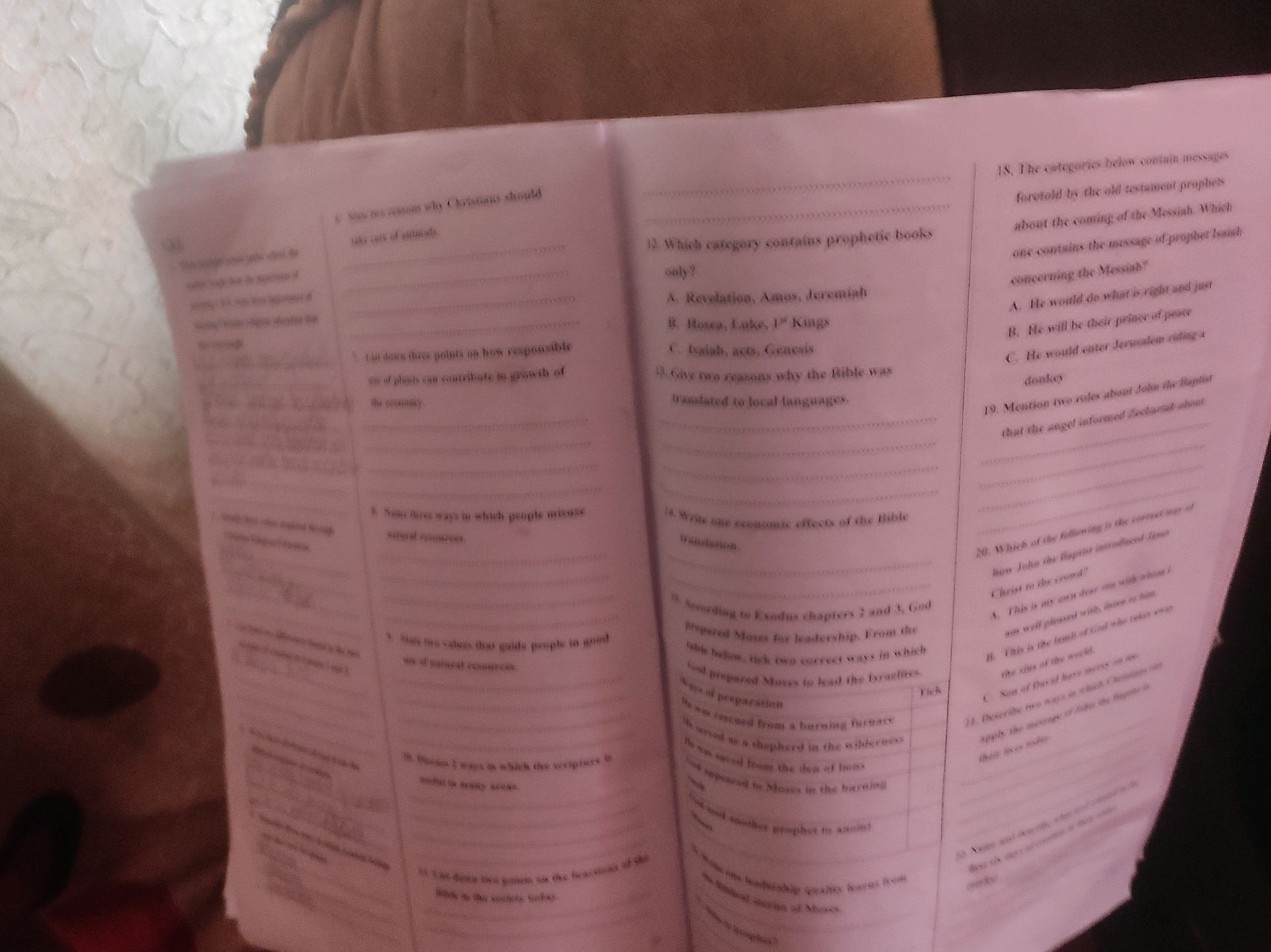 12. Which category contains prophetic books | StudyX