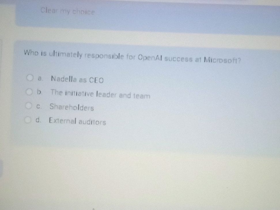 Who is ultimately responsible for OpenAI | StudyX