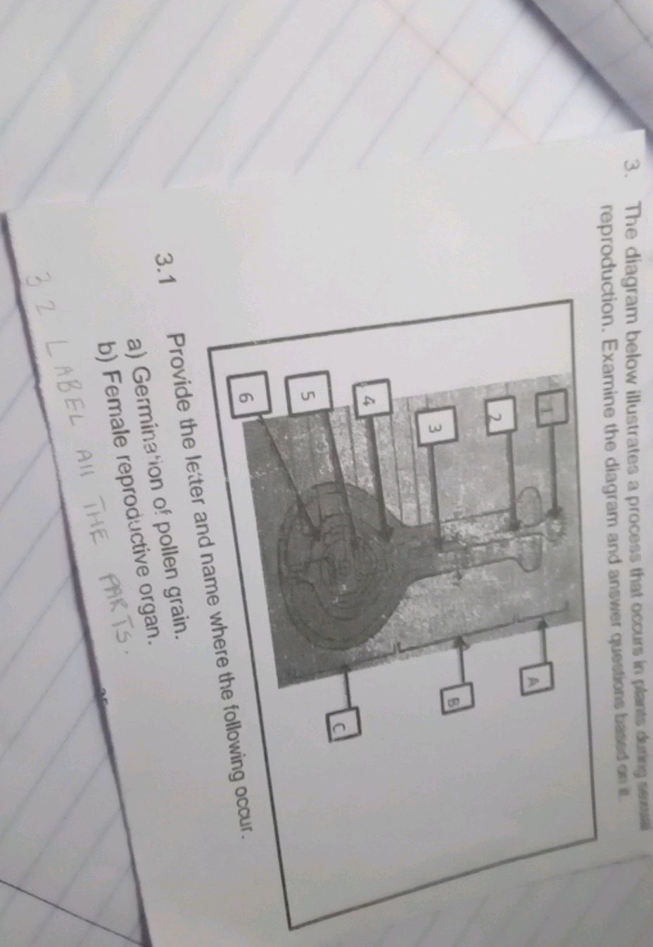 3. The diagram below illustrates a process | StudyX