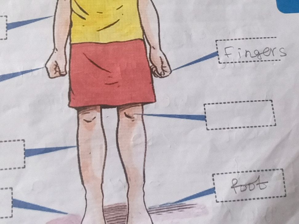 Label the parts of the body. Fingers Foot