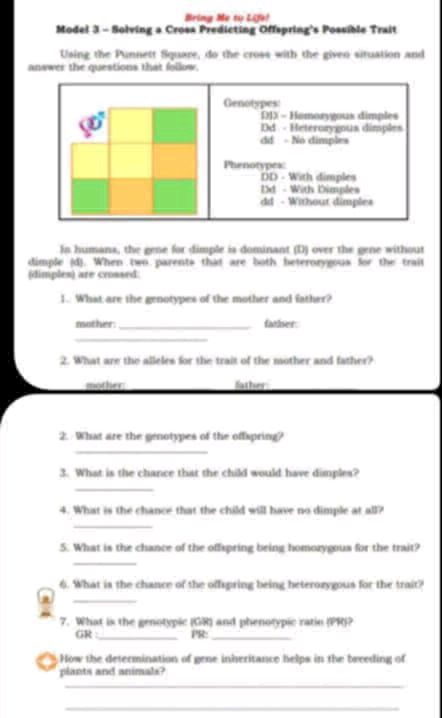 Model 3 - Solving a Cross Predicting