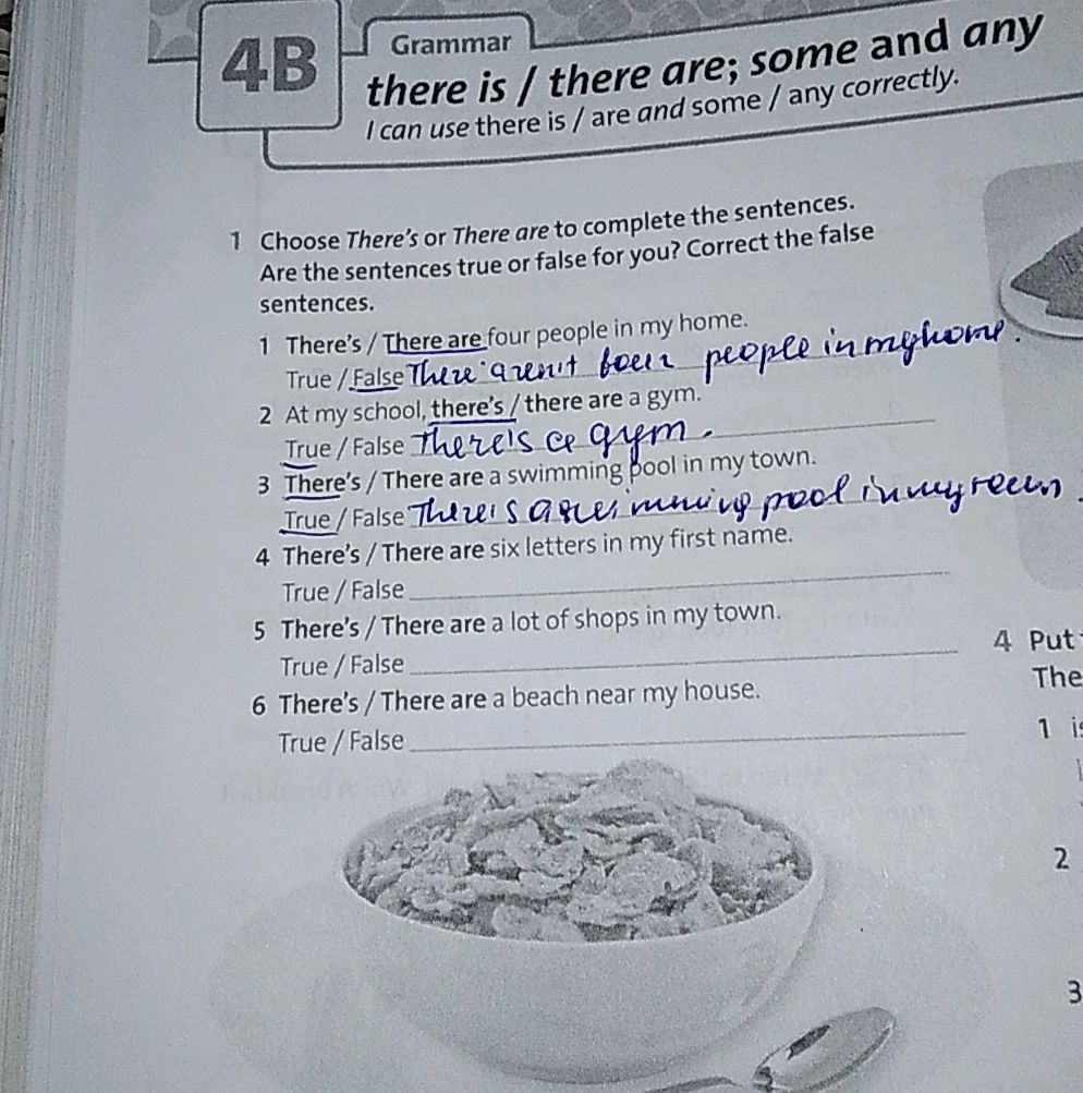 Grammar there is / there are; some and any I | StudyX