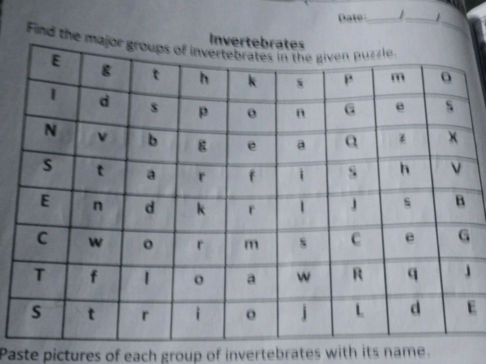 Find the major groups of invertebrates in