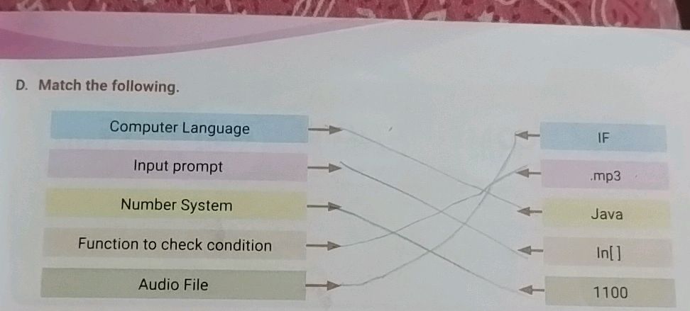 D. Match the following. Computer Language