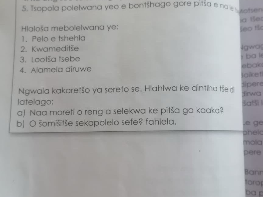5. Tsopola polelwana yeo e bontšhago gore | StudyX