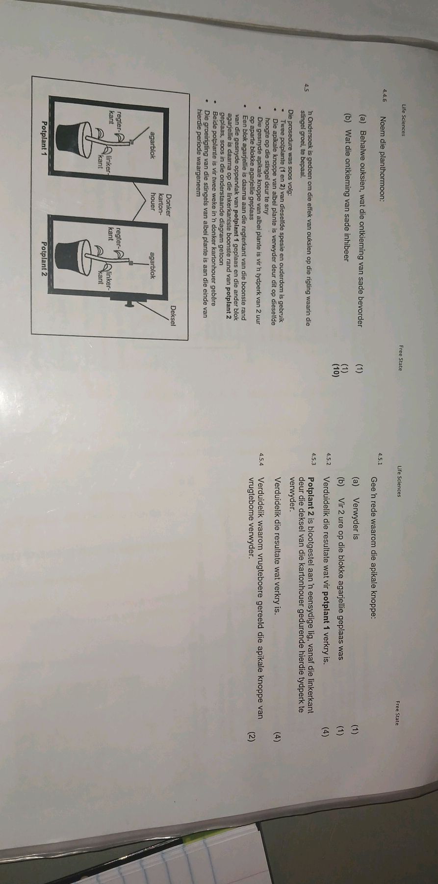 4.4.6 Noem die planthormoon: 4.5 (a) Behalwe