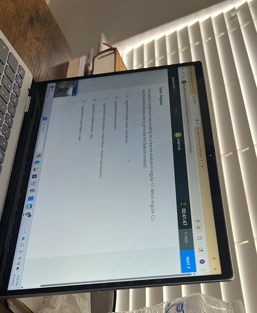 You want to implement lazy loading for a | StudyX