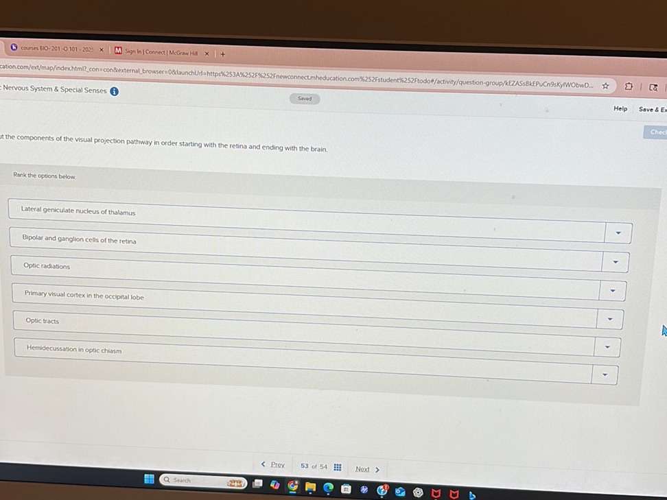 List the components of the visual projection | StudyX