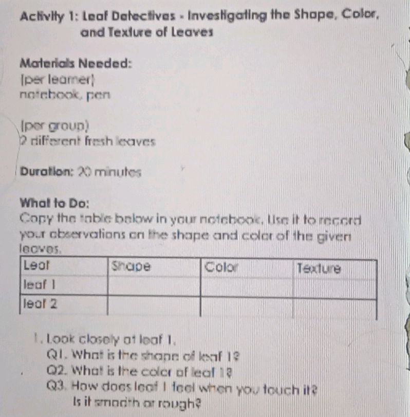 Activity 1: Leaf Detectives - Investigating | StudyX