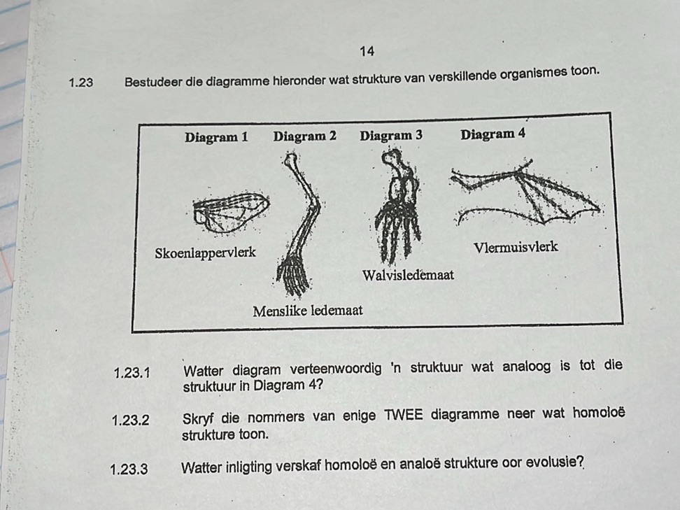 14 1.23 Bestudeer die diagramme hieronder | StudyX