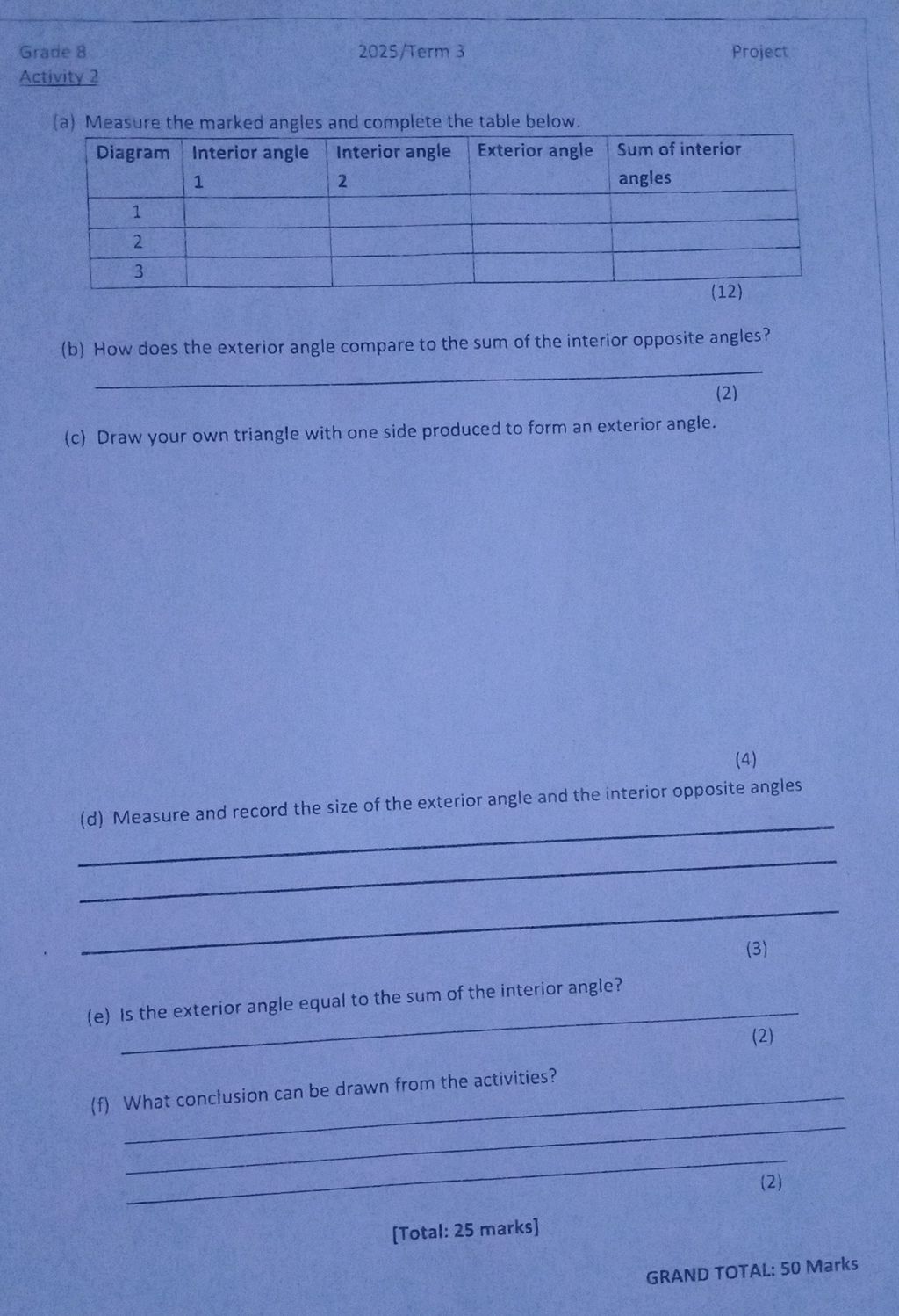 Grade 8 Activity 2 2025/Term 3 Project (a) | StudyX