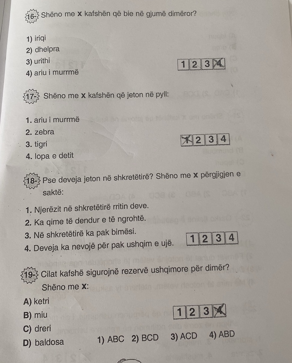 16- Shëno me x kafshën që bie në gjumë