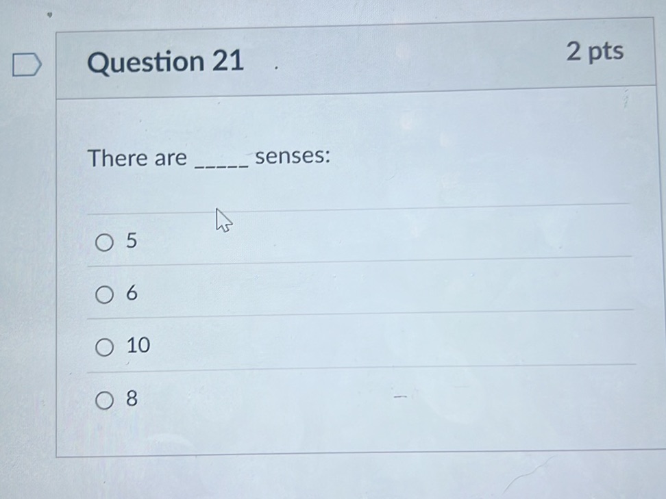 How many senses do humans have?
