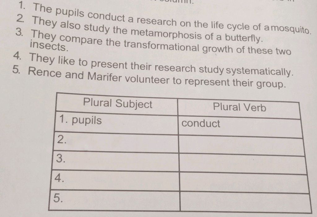 Plural Subject | Plural Verb | | StudyX