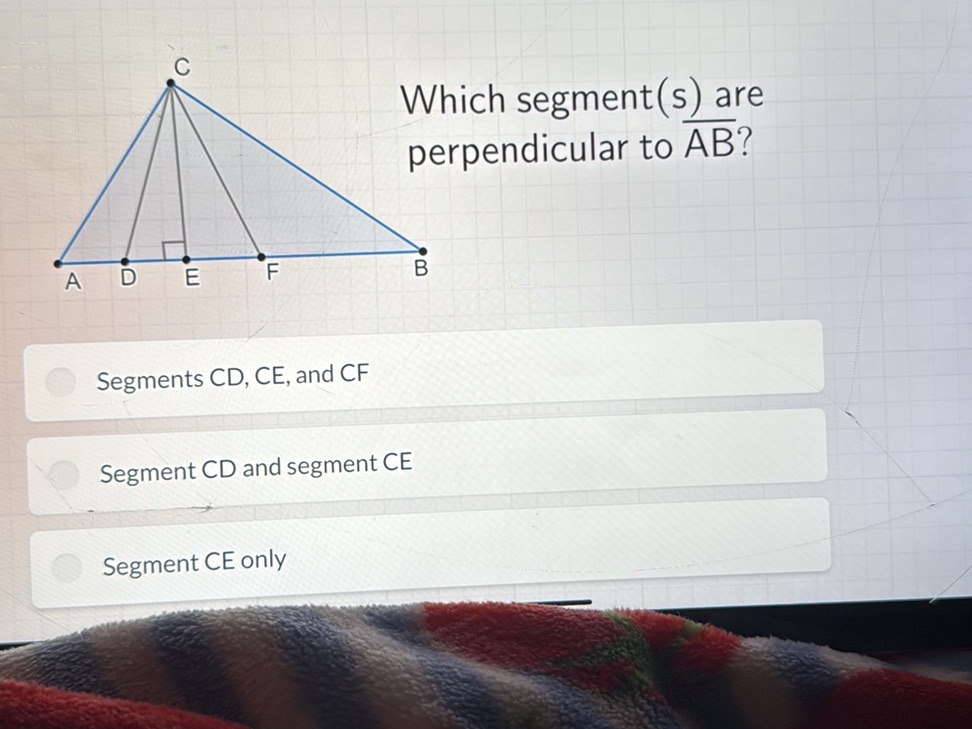 Which segment(s) are perpendicular to $ | StudyX