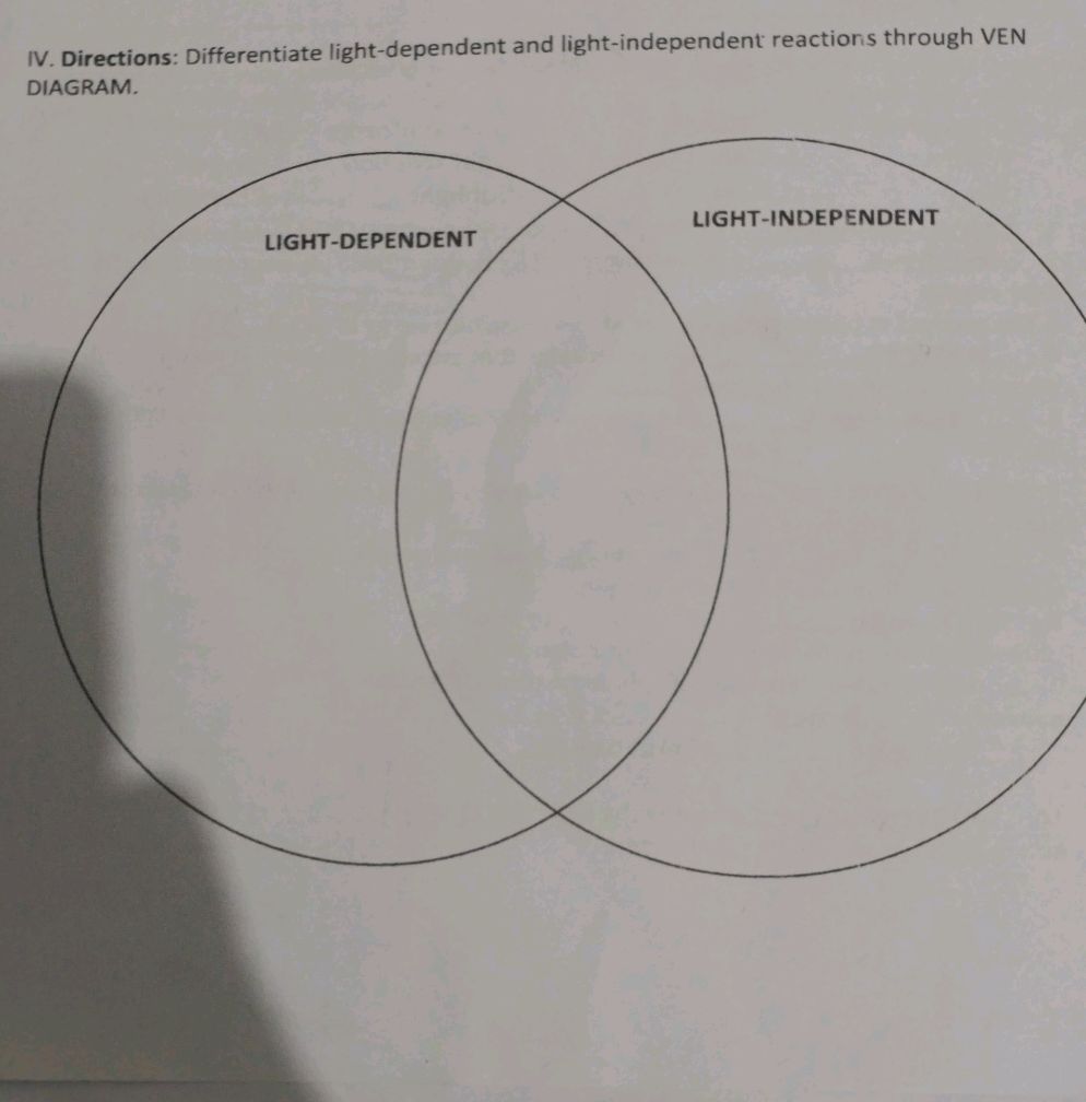 IV. Directions: Differentiate | StudyX