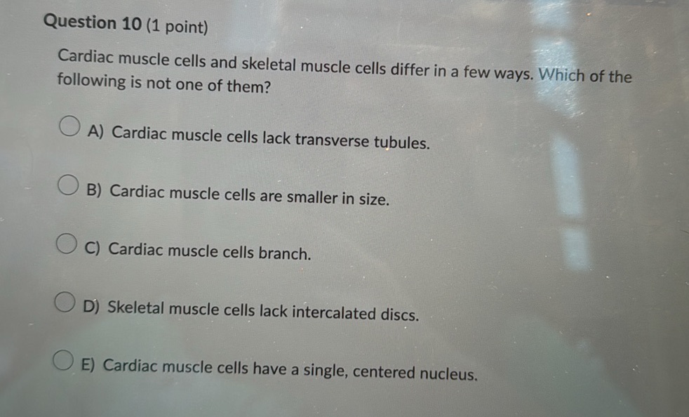 Question 10 (1 point) Cardiac muscle cells | StudyX