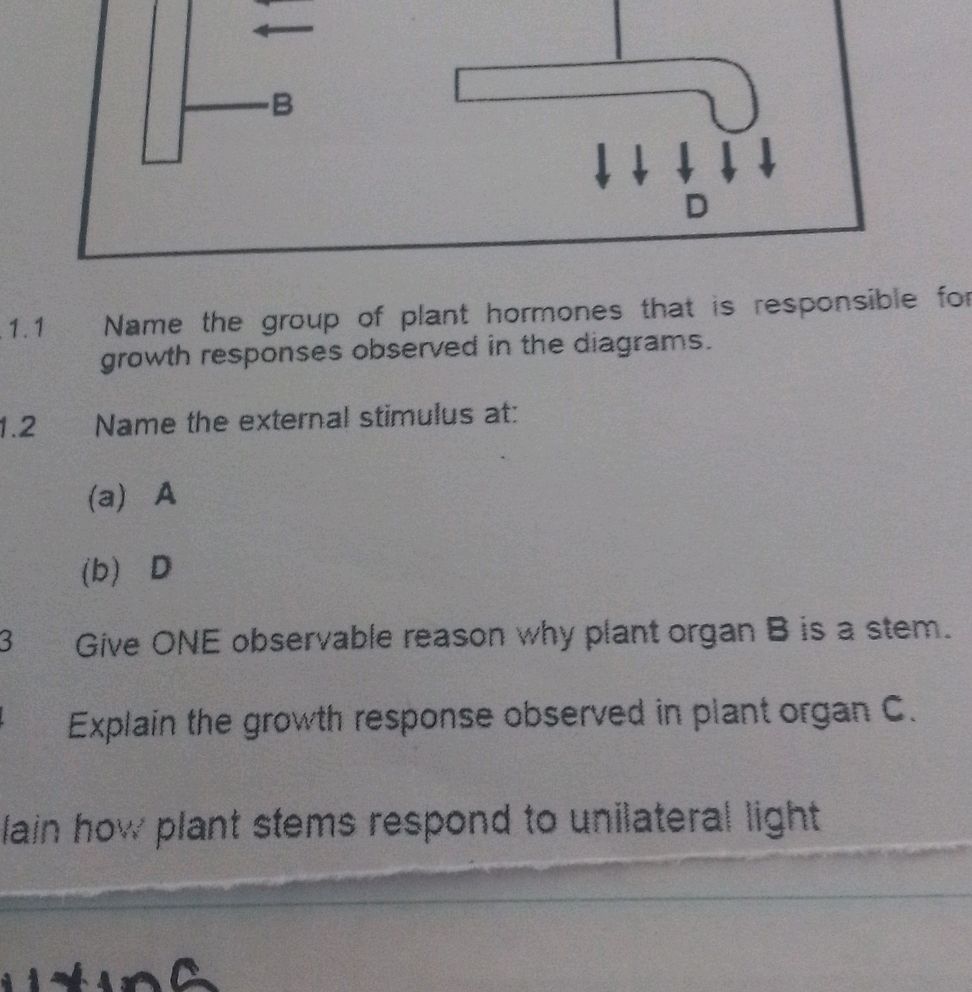 1 Name the group of plant hormones that is