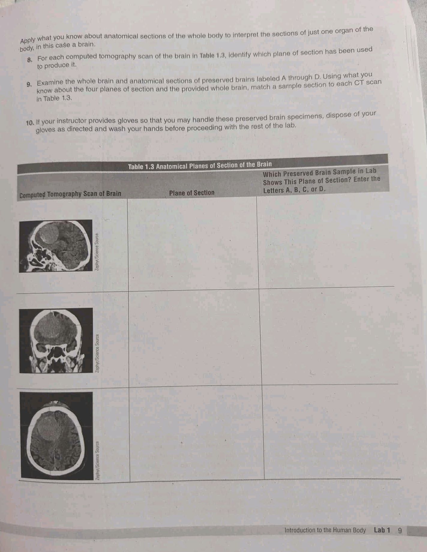 8. For each computed tomography scan of the | StudyX