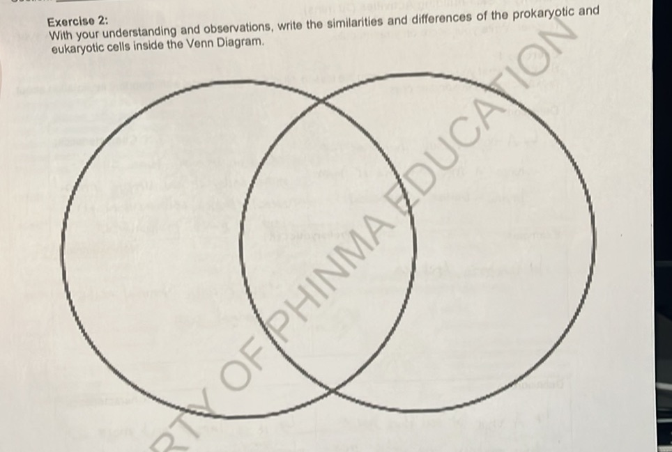 Exercise 2: With your understanding and | StudyX