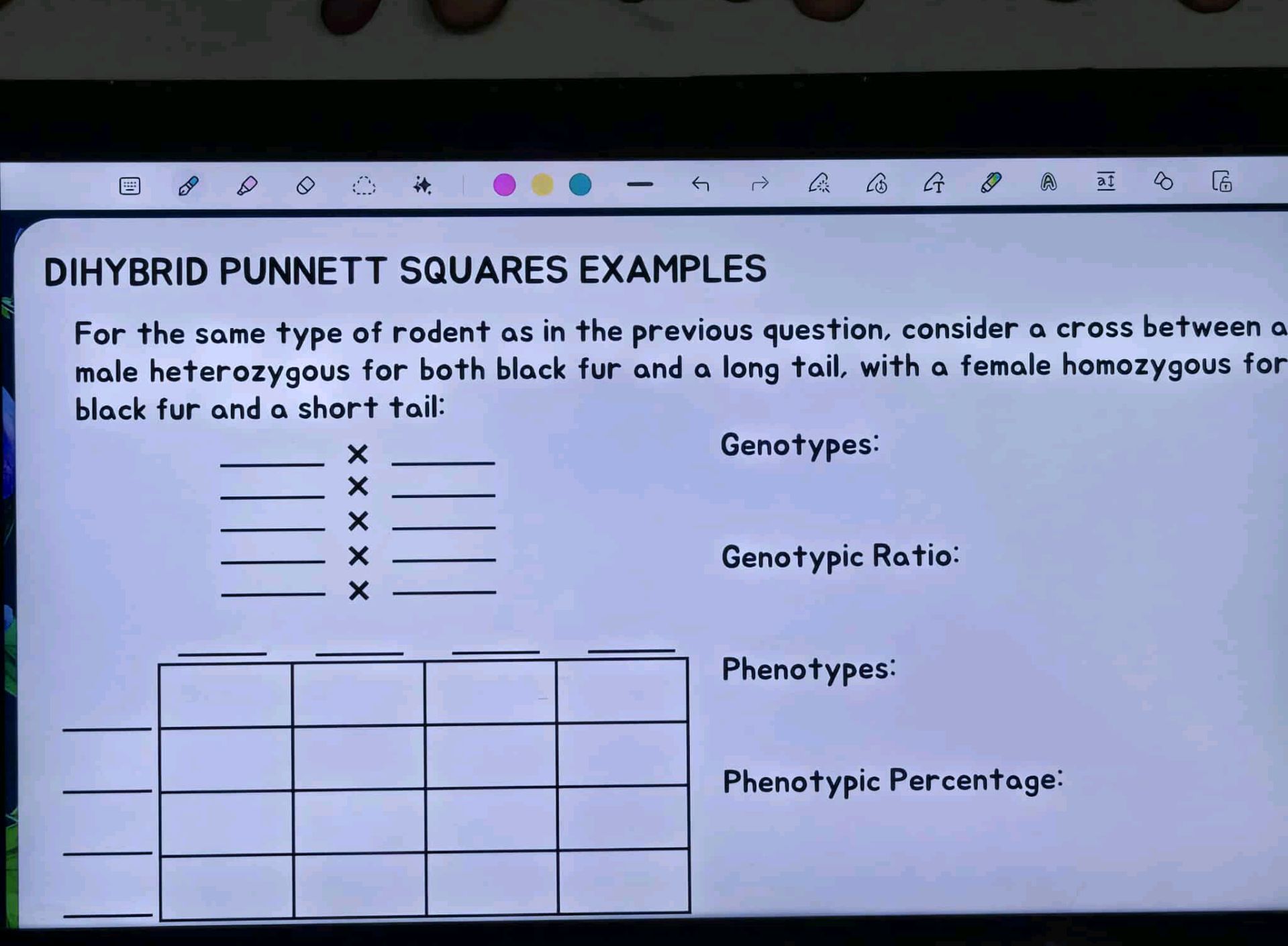 DIHYBRID PUNNETT SQUARES EXAMPLES For the | StudyX