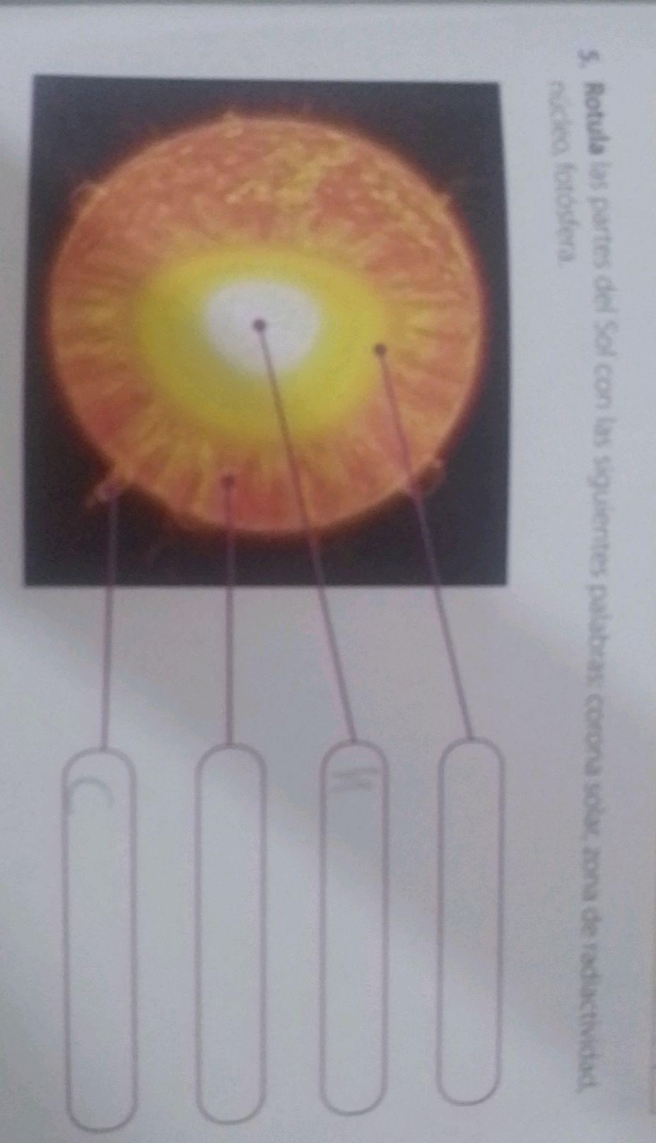Rotula las partes del Sol con las siguientes | StudyX