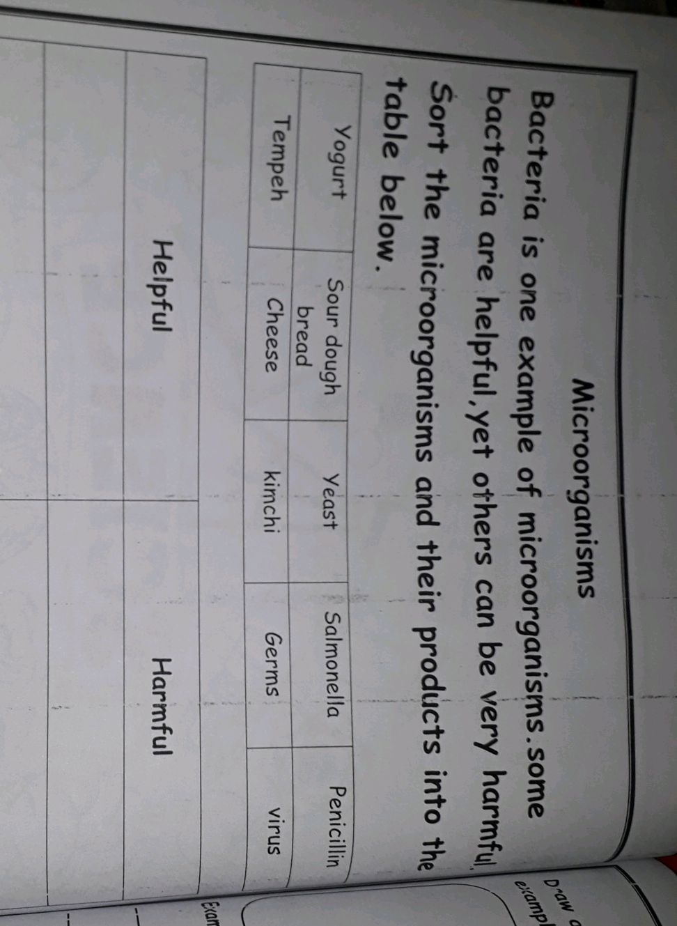 Bacteria is one example of microorganisms. | StudyX