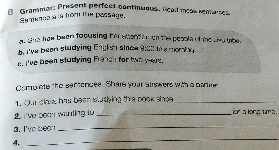 B Grammar: Present perfect continuous. Read