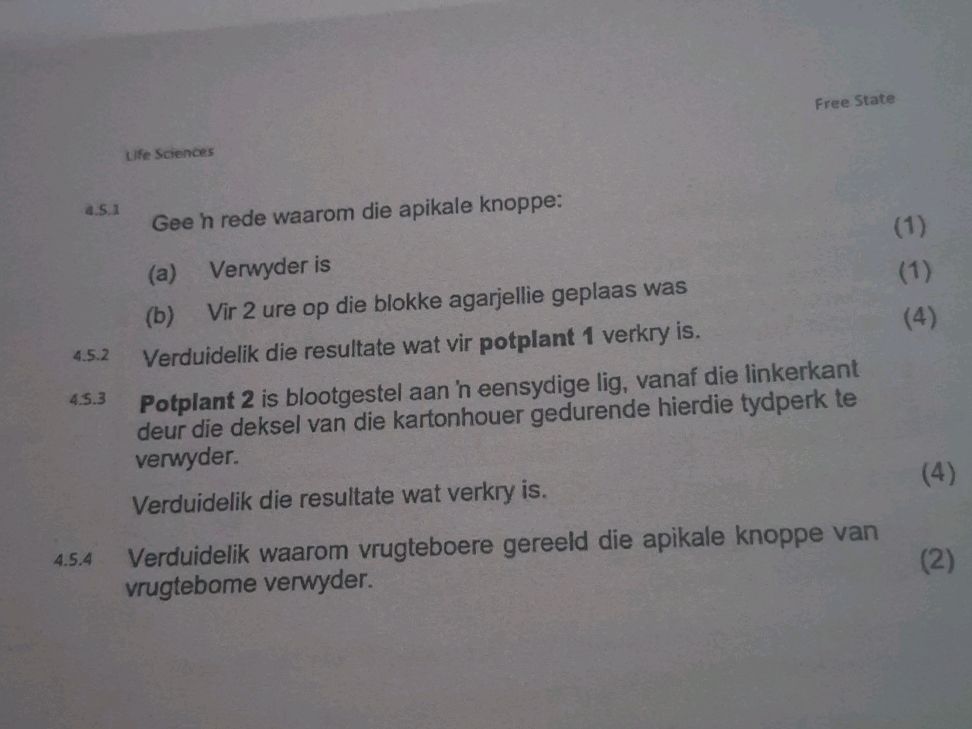 4.5.1 Gee 'n rede waarom die apikale knoppe: | StudyX